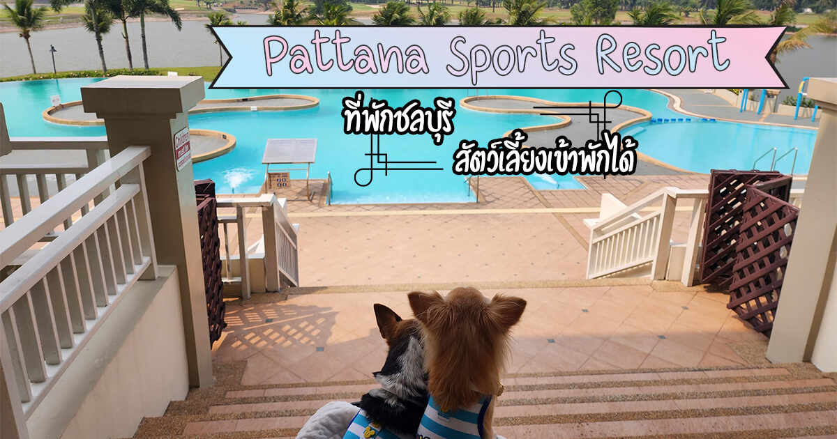 Pattana Sports Resort ที่พักชลบุรี สัตว์เลี้ยงเข้าพักได้